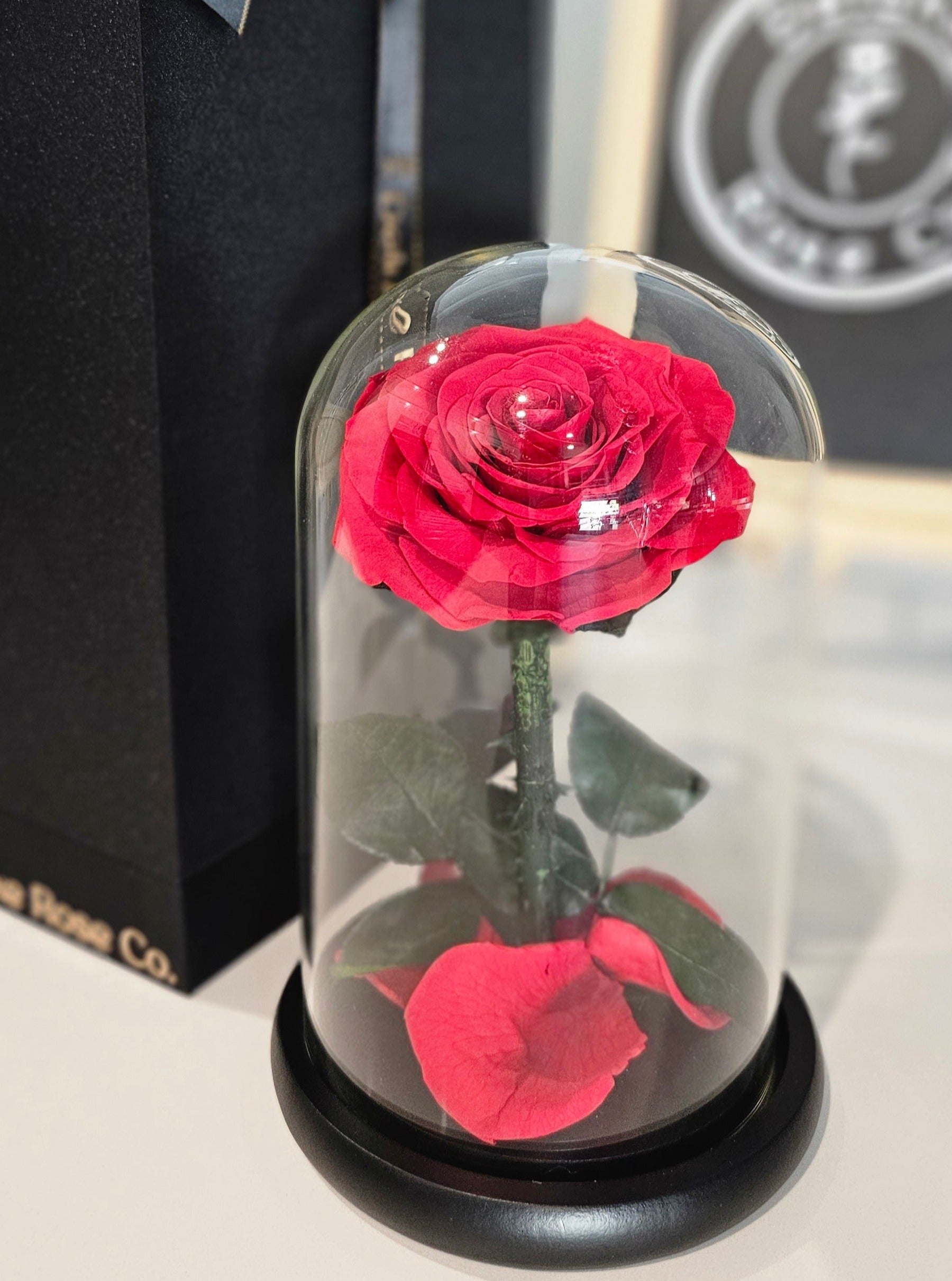 Deluxe Rose Domes - Small – Deluxe Rose Co.