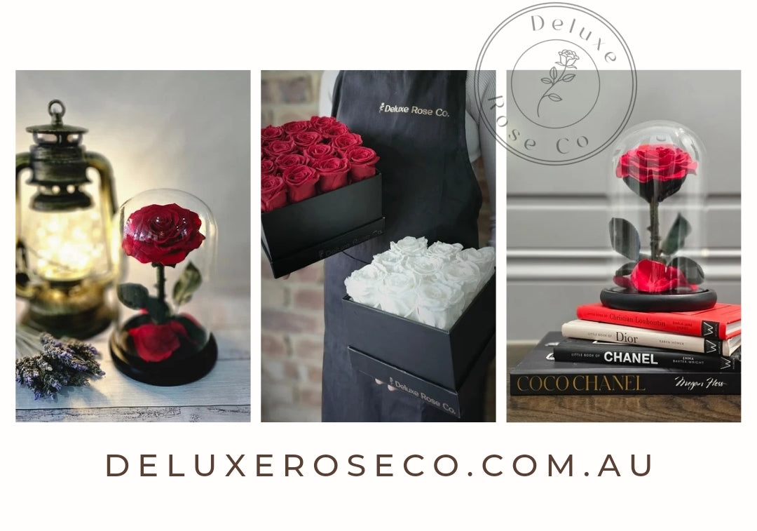 Deluxe Rose Co – Deluxe Rose Co.
